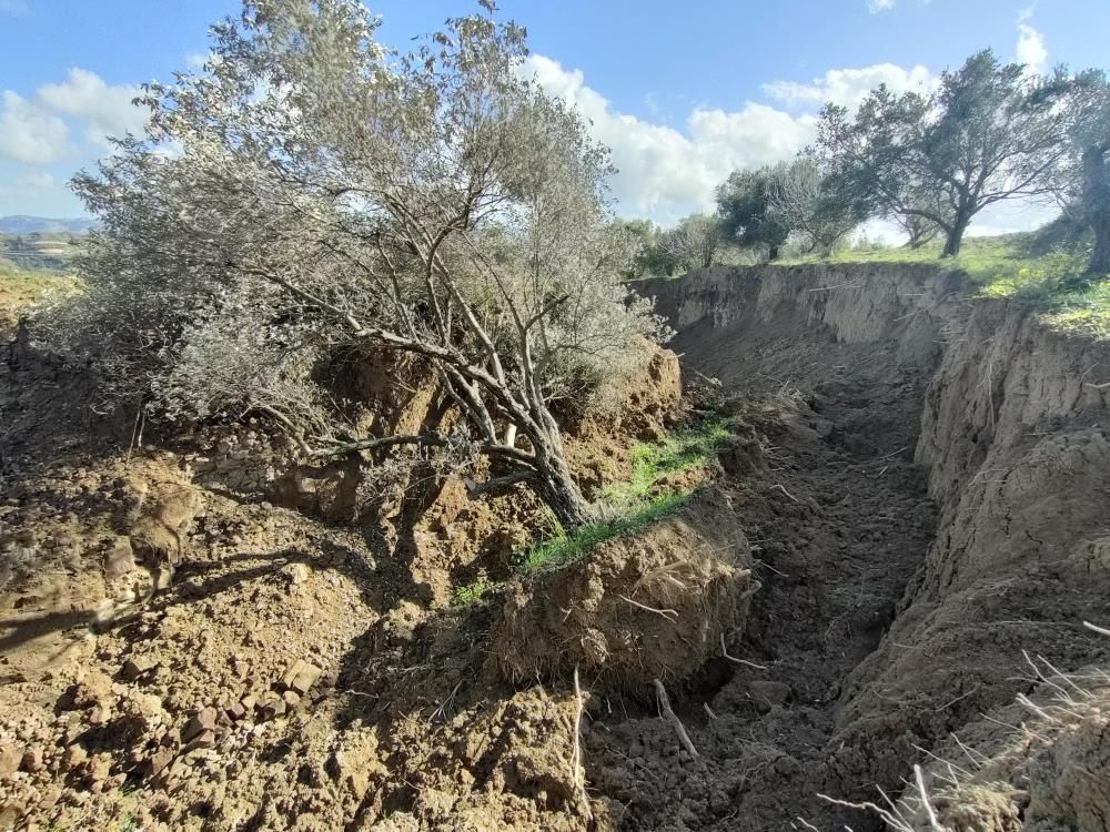 Depremin şiddeti bir kez daha ortaya çıktı! Hatay'da fay yarıkları ... Depremin şiddeti bir kez daha ortaya çıktı! Hatay'da fay yarıkları ...