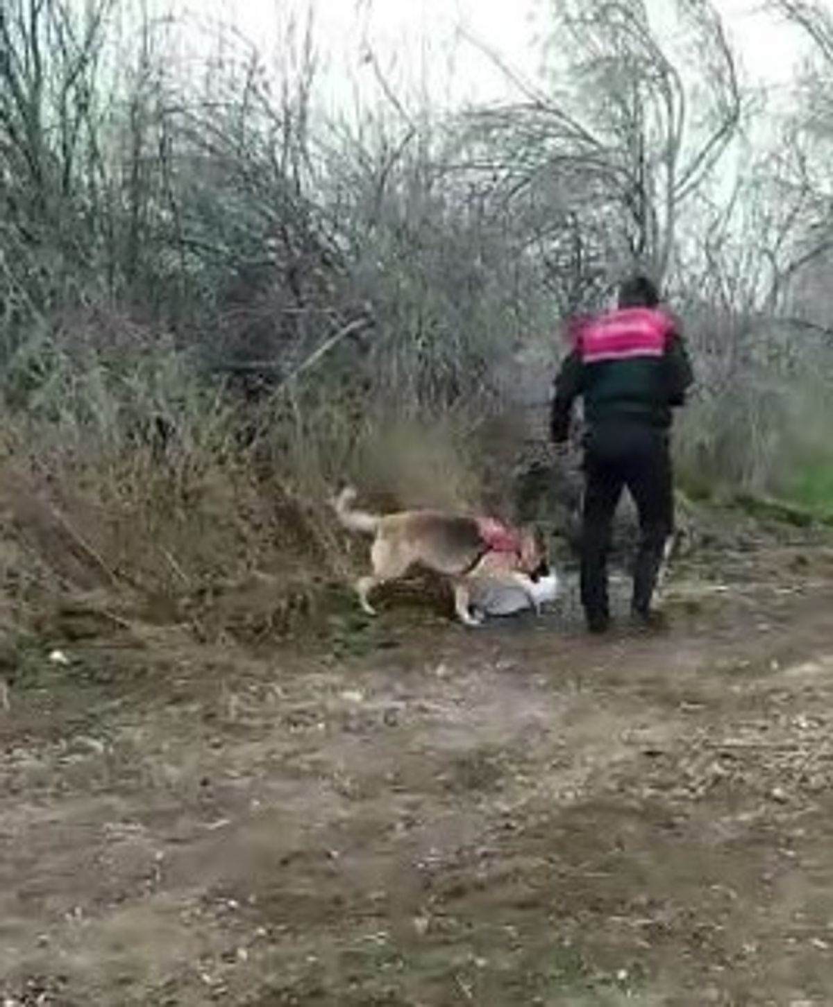 Amasya'da kayıp olarak aranan şahsın elbiseleri ve kemikleri bulundu Amasya'da kayıp olarak aranan şahsın elbiseleri ve kemikleri bulundu