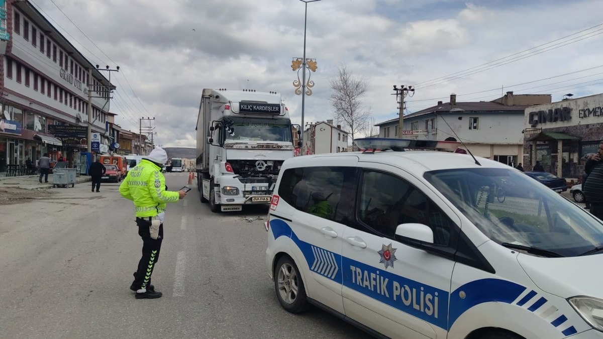 Erzurum'da sokak köpeği kazaya neden oldu Erzurum'da sokak köpeği kazaya neden oldu