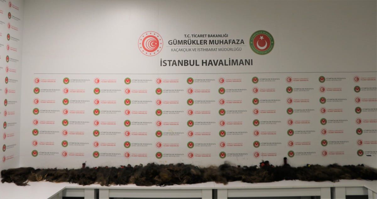 İstanbul havalimanlarında 53 kilo insan saçı ele geçirildi