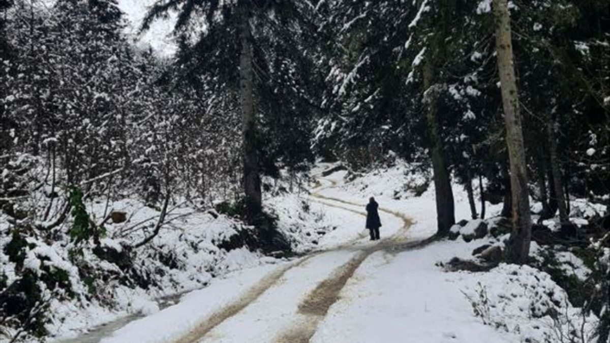 Rize'de yaylalara kar yağdı - En Son Haber
