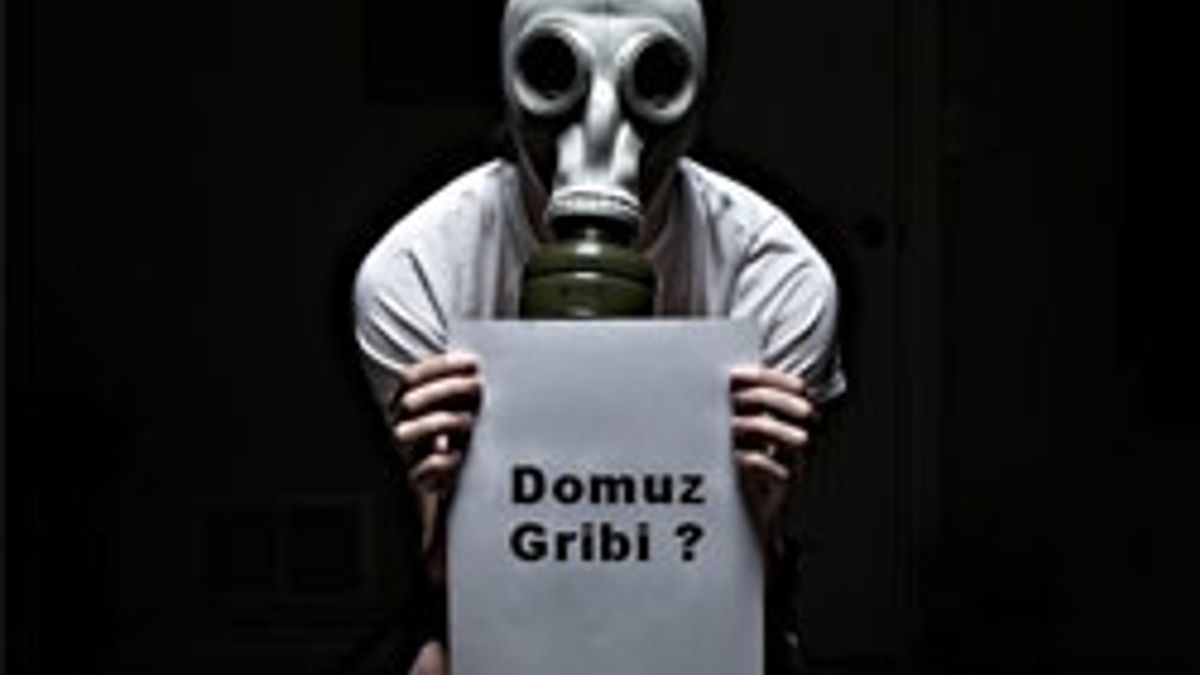 Domuz gribine burun spreyi