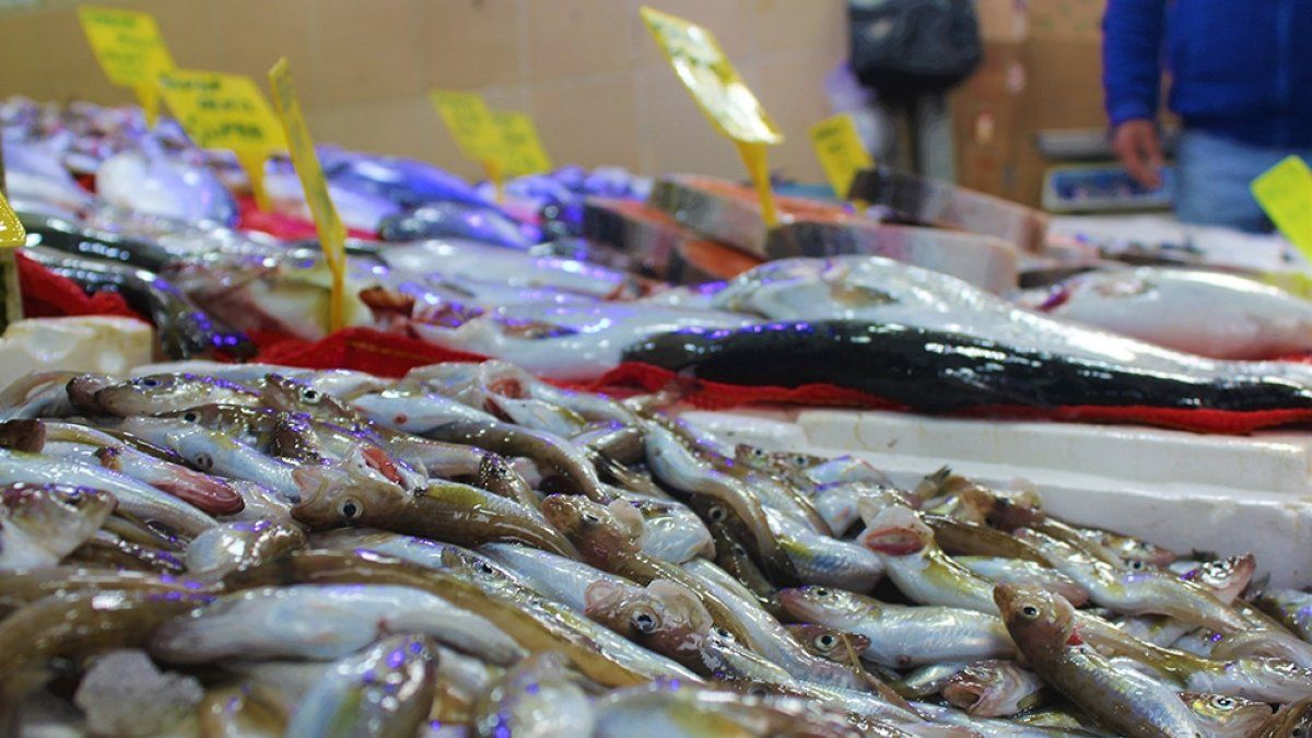 Mezgit 10 liralık fiyatıyla Samsun'da balık tezgahların yeni fenomeni oldu