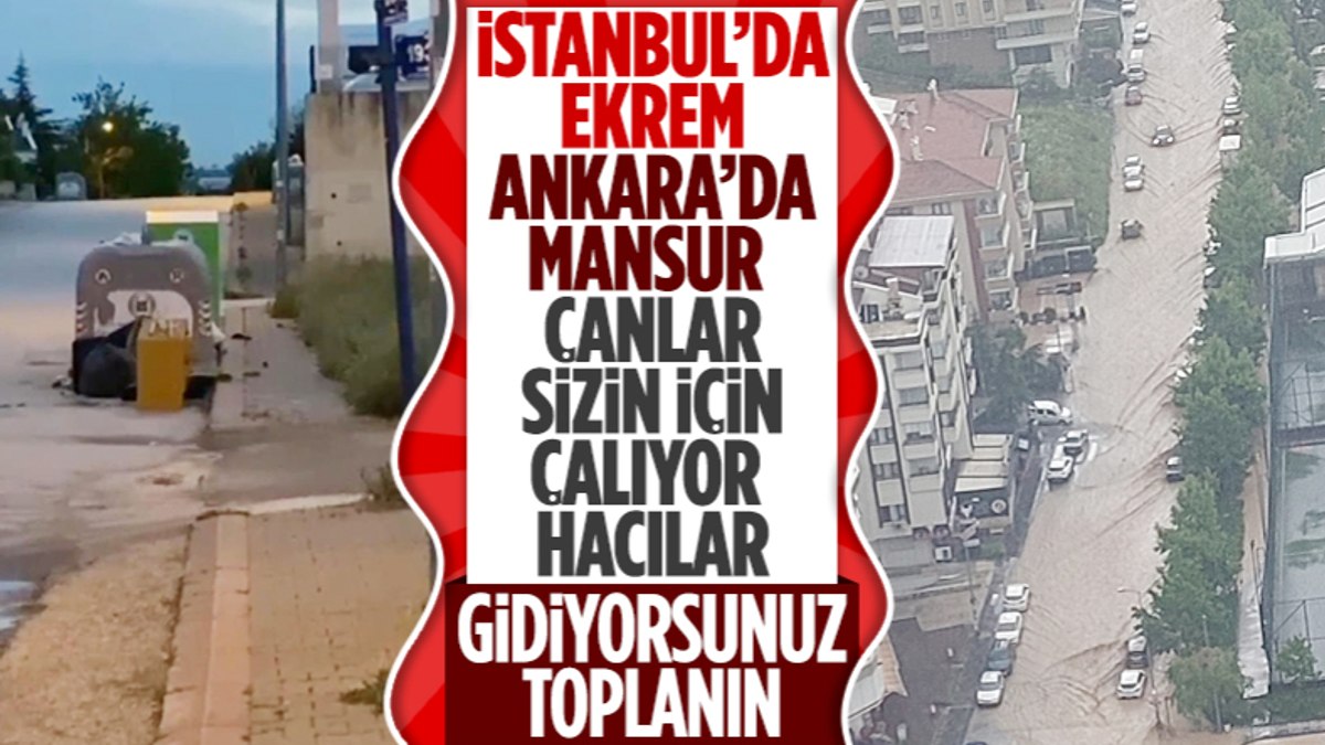 Ankara'da yağışların ardından caddeleri fare bastı Ankara'da yağışların ardından caddeleri fare bastı