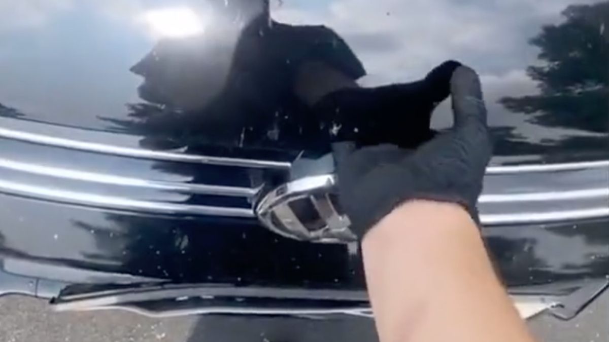 Hayatının şokunu yaşadı! Kaputun altında yakalanan keseli sıçanın ...