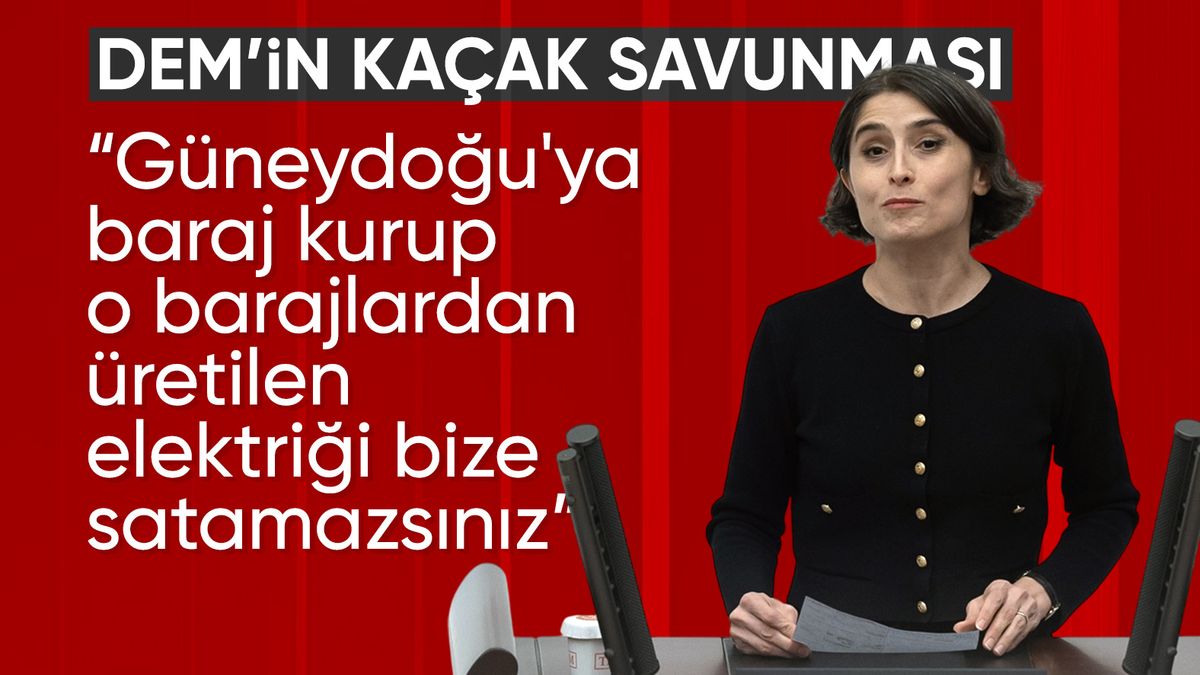 DEM Parti Milletvekili Ceylan Akça, elektrik faturalarından rahatsız oldu