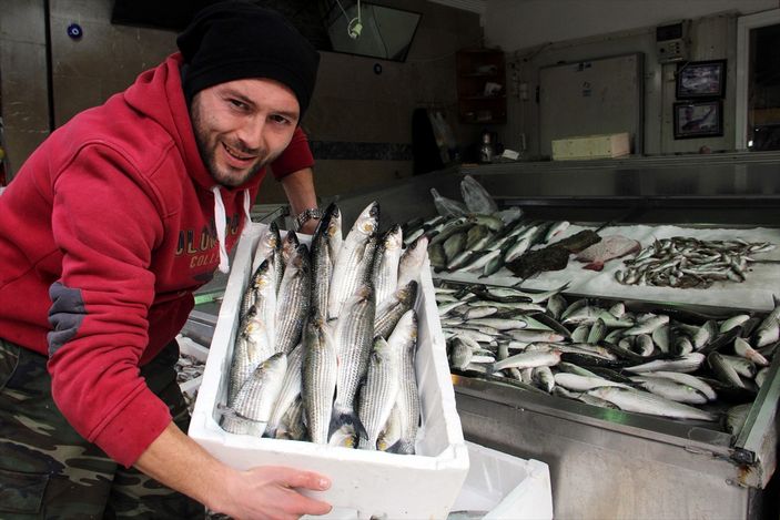 Tezgahlarda kefal bereketi
