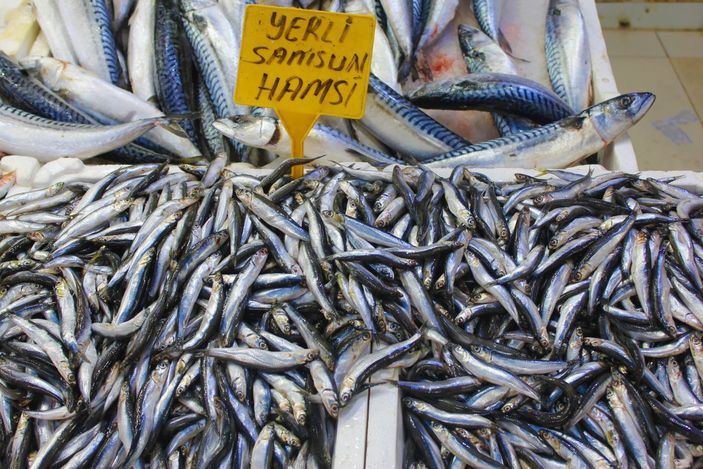 Mezgit 10 liralık fiyatıyla Samsun'da balık tezgahların yeni fenomeni oldu