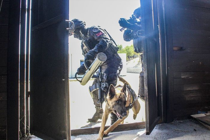 Jandarma köpeklerinin zorlu eğitimi