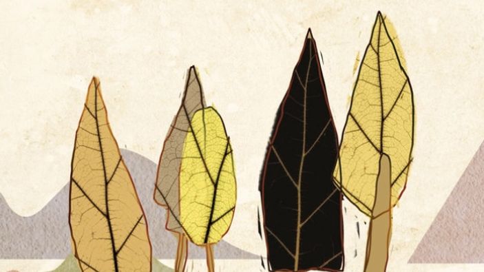 Sürükleyici ve okurun elinden bırakamayacağı bir kitap: İntihar Romanı