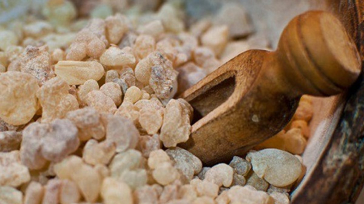 What is daily gum, what are its benefits? What is good for daily ...