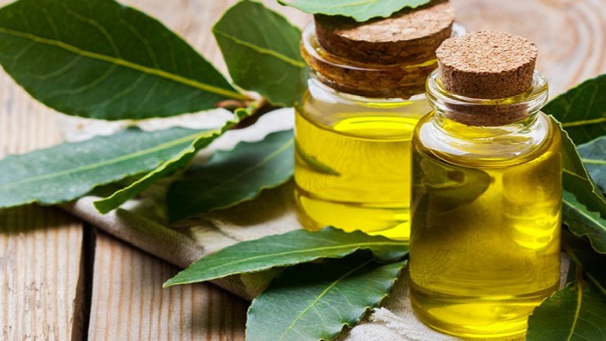 What is myrtle oil, what are its benefits? How to use skin brightening ...