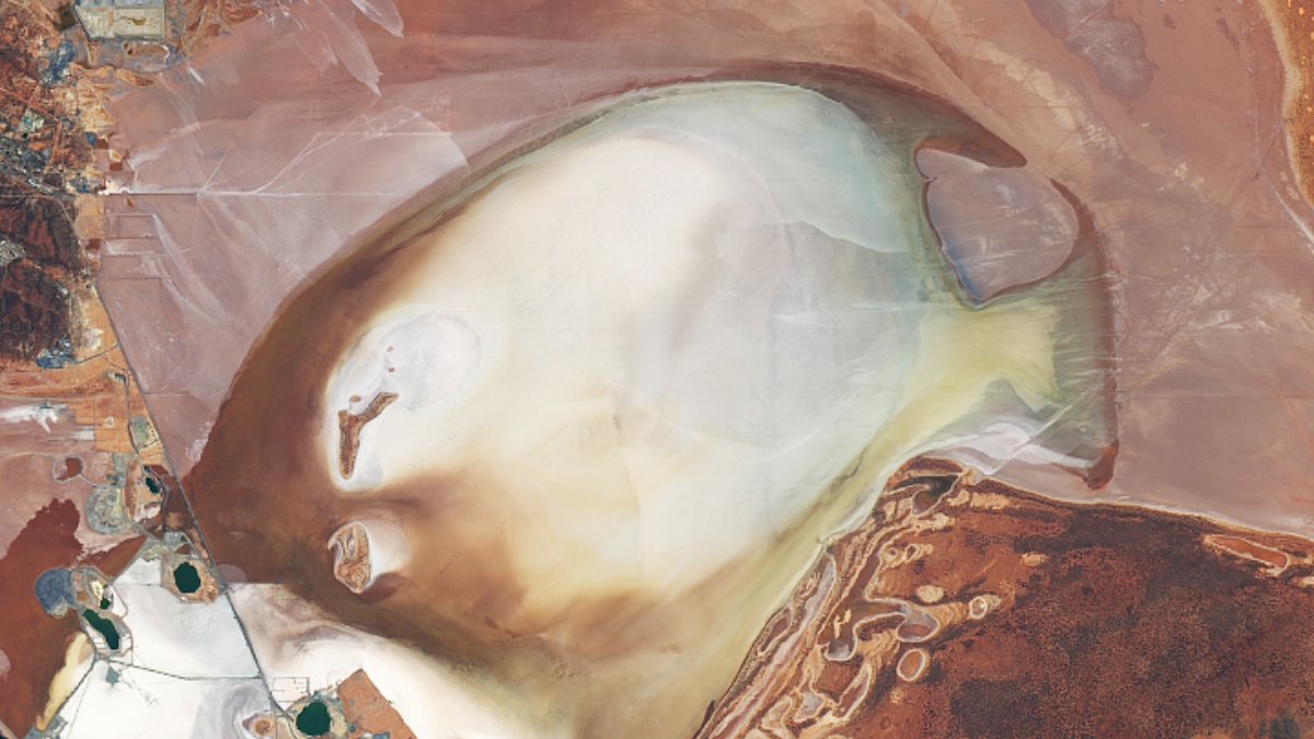 NASA releases impressive satellite photos of fish-like Lake Lefroy ...