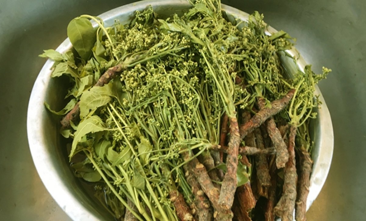 Kinin nedir, faydaları nelerdir? Kinin nasıl kullanılır, yan etkisi var mı?