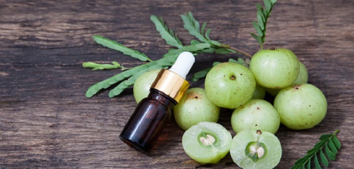 What is amla oil, what are its benefits? How to use amla oil? – Kimdeyir