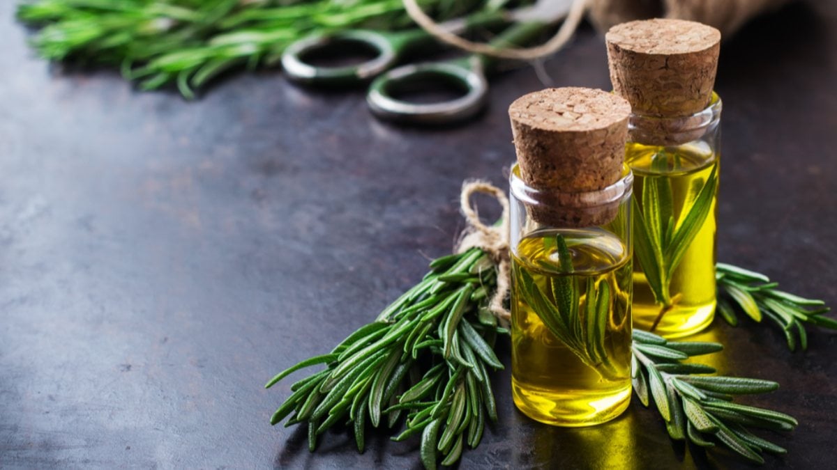 Biberiye yağının faydaları