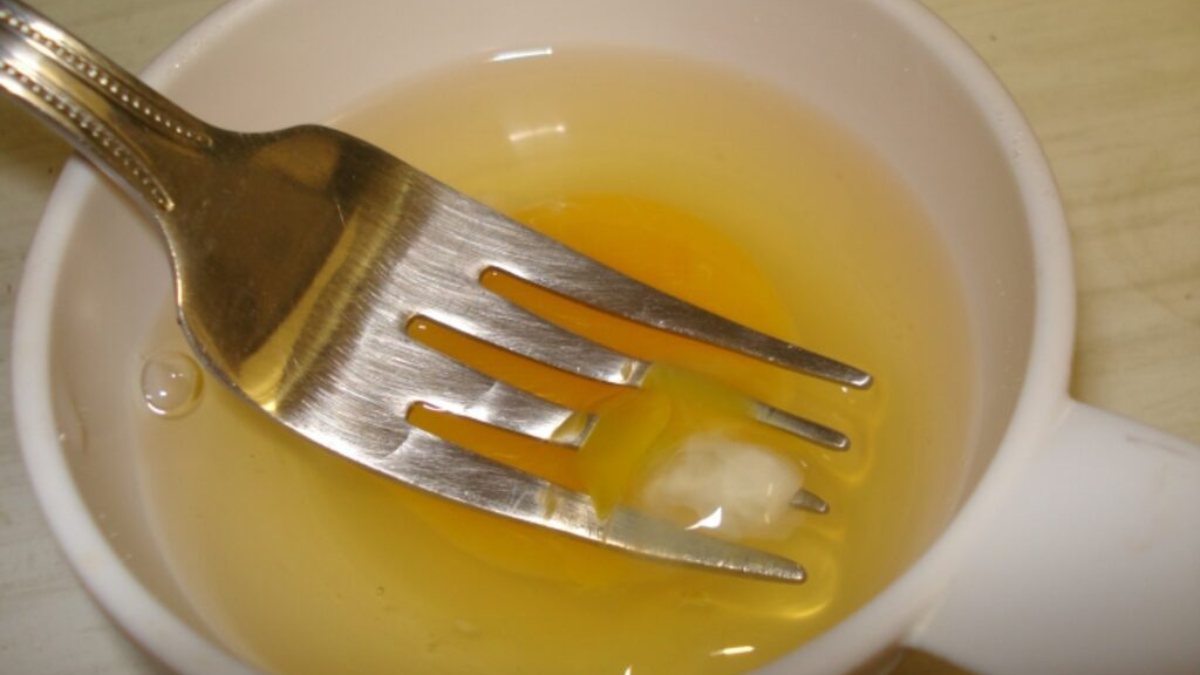 The mysterious whiteness inside the egg: What is Kalaza? – Kimdeyir