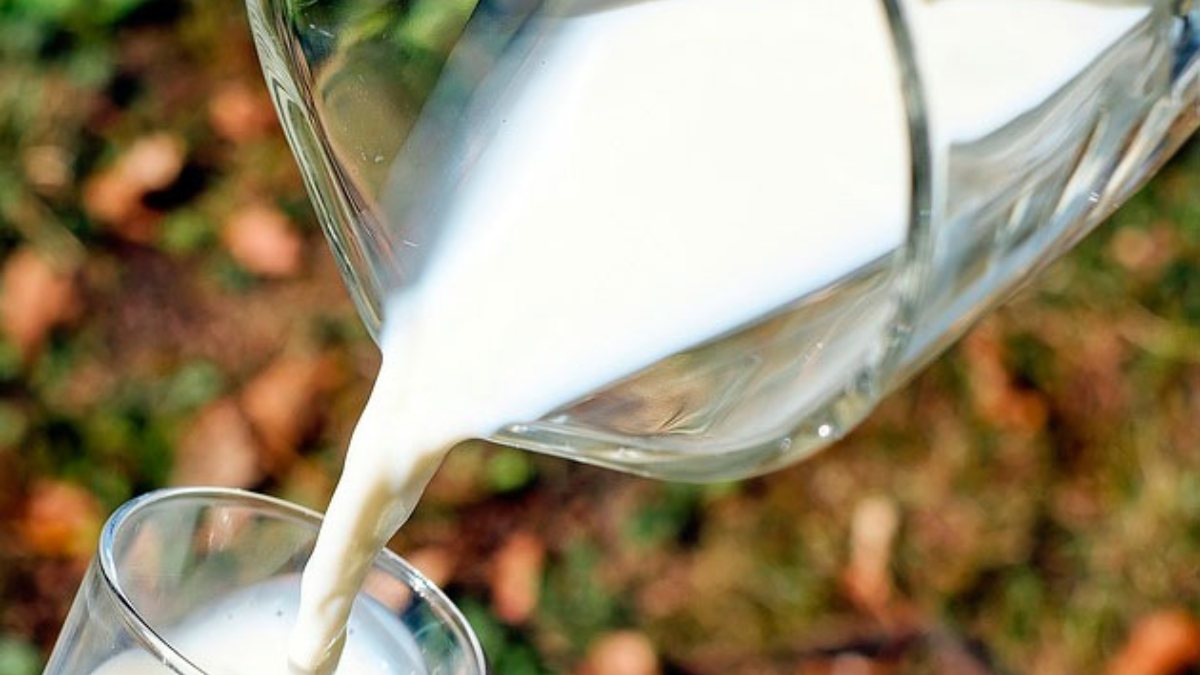 Watch out for the trick in milk: Adding bleach – Kimdeyir