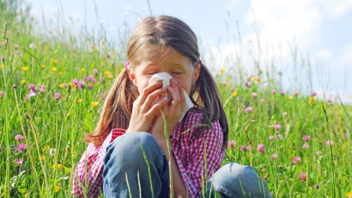Allergic rhinitis occurs in 2 to 25 percent of children. – Kimdeyir