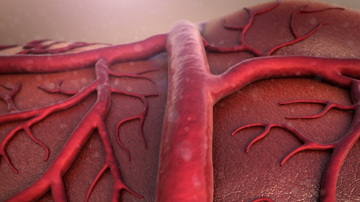 Coronavirus causes vascular damage in young people – Kimdeyir