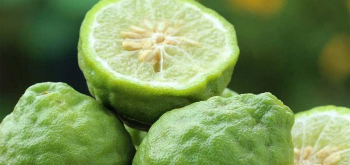 4 vegetable oils to improve sleep quality – Kimdeyir