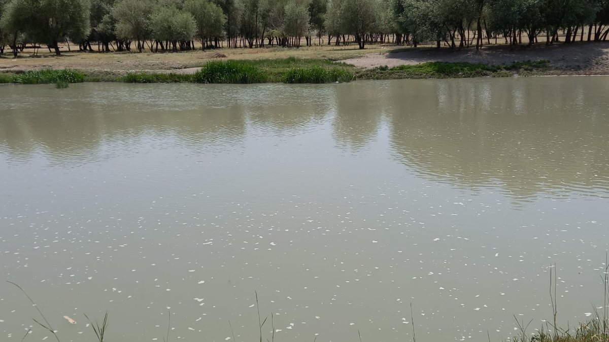 Aras Nehri'ne düşen çocuğunu kurtarmaya çalışan anne akıntıya kapılarak ...