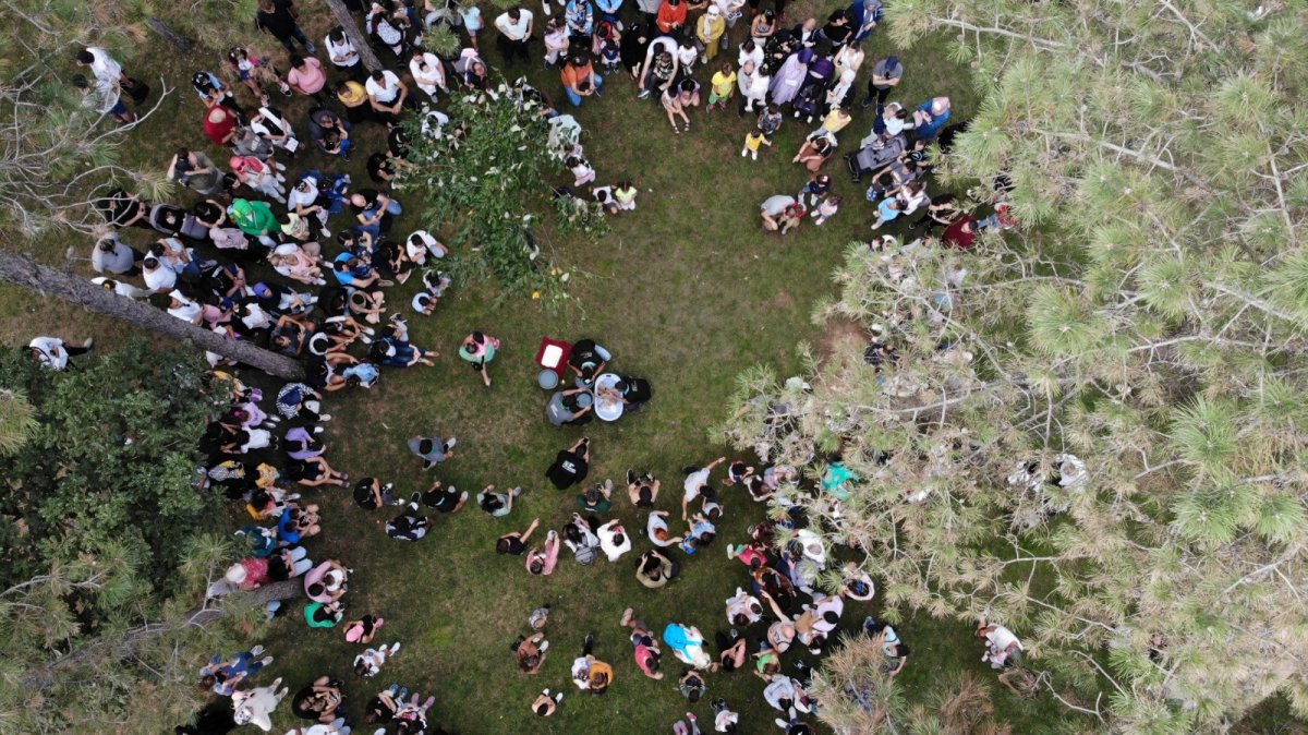 İstanbul'da yavru aslan Alex'in banyo yaptırıldığı anlar ilgiyle izlendi