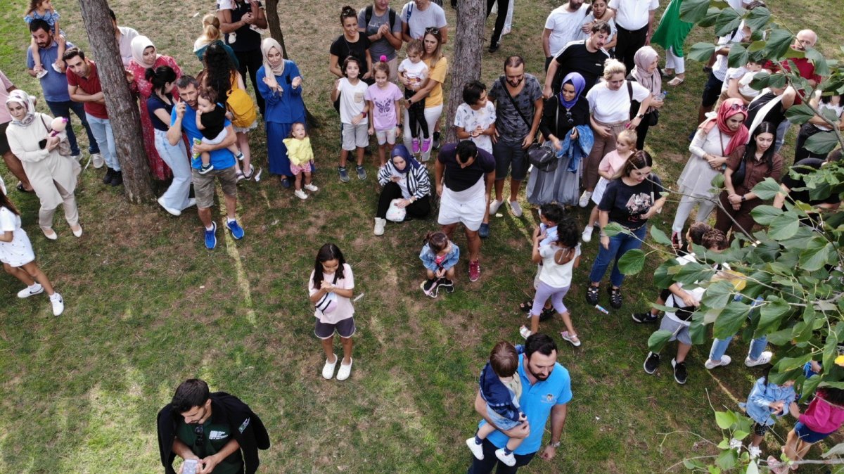İstanbul'da yavru aslan Alex'in banyo yaptırıldığı anlar ilgiyle izlendi