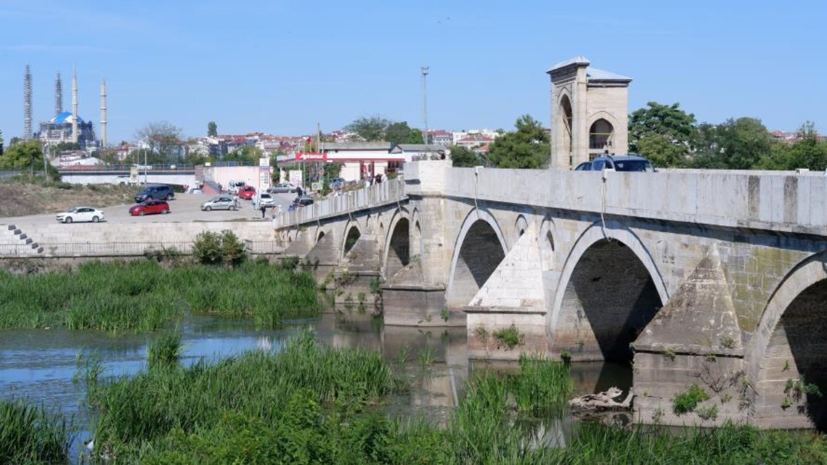 Edirne'deki Tunca Nehri'nde ot ve sazlık öbekleri oluştu