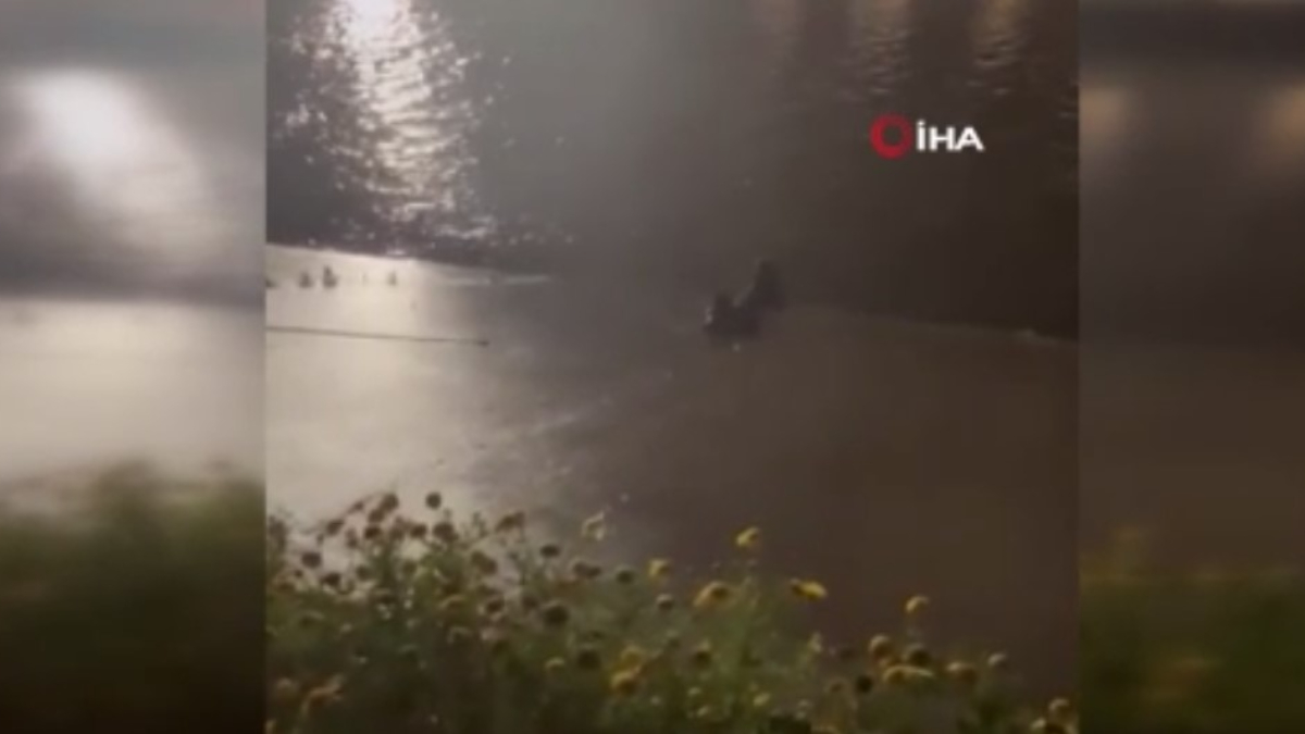 Meksika'da Angola uyruklu göçmen aile nehre düştü