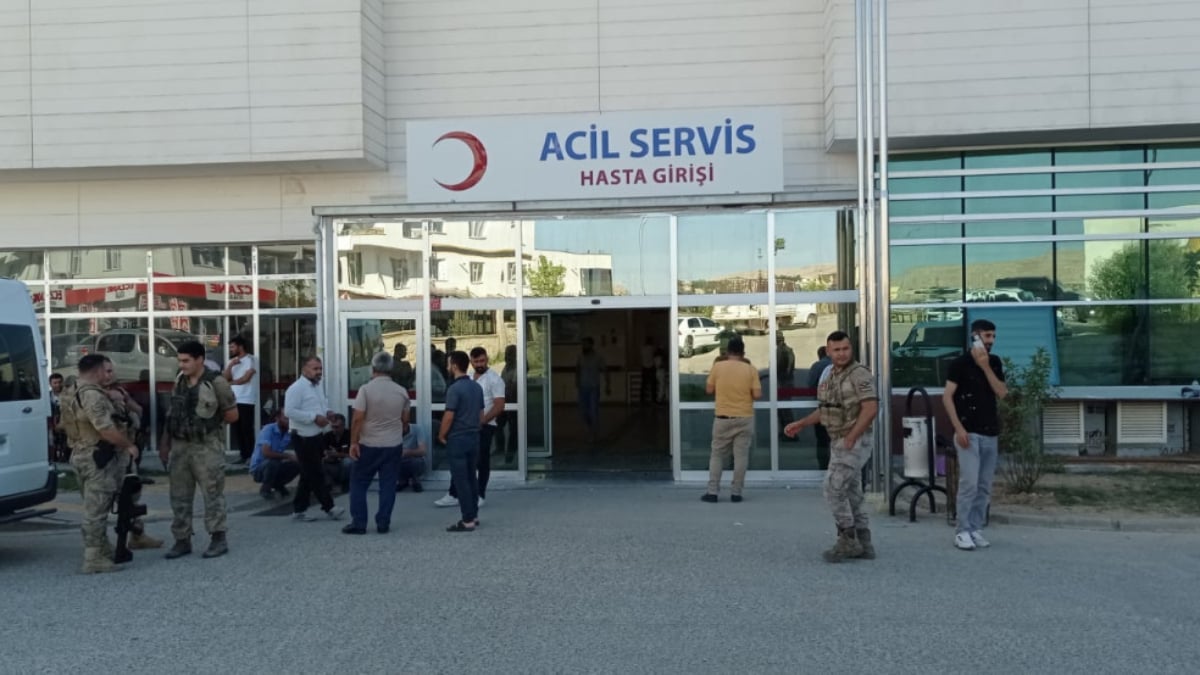 Diyarbakır'da kamyonetin çarptığı yaşlı adam can verdi