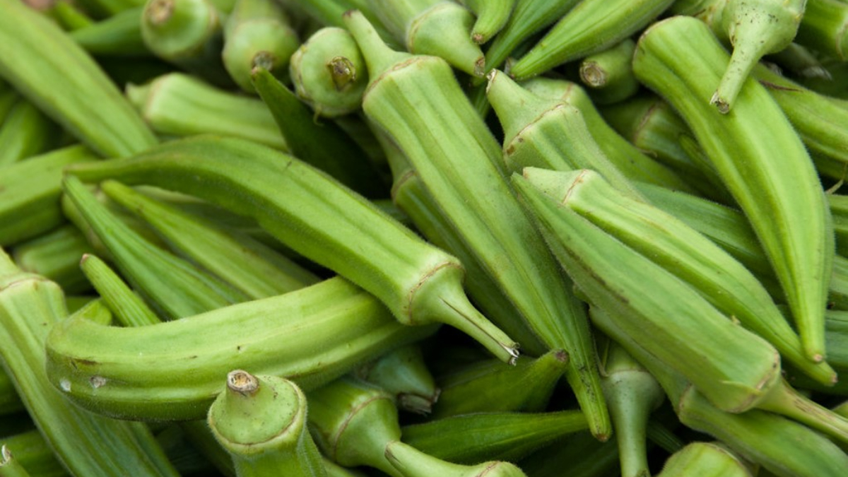 Minisi değil irisi: Bamyanın inanılmaz faydası...