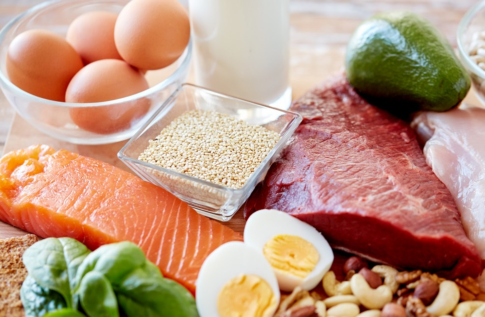 Makanan Protein Untuk Diet - Perumperindo.co.id