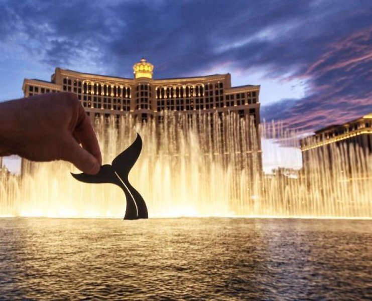 Instagram'ın yeni fenomeni Londralı fotoğrafçı Rich McCor