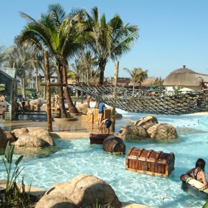 Durban'ın renkli yüzü - Dünya haberleri