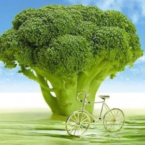 Kilo verdiren sağlıklı sebzeler | Ensonhaber