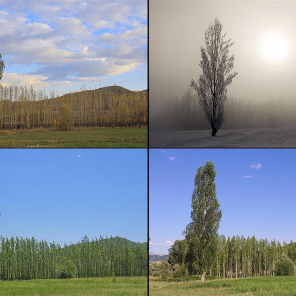 4 mevsim Tunceli | Ensonhaber