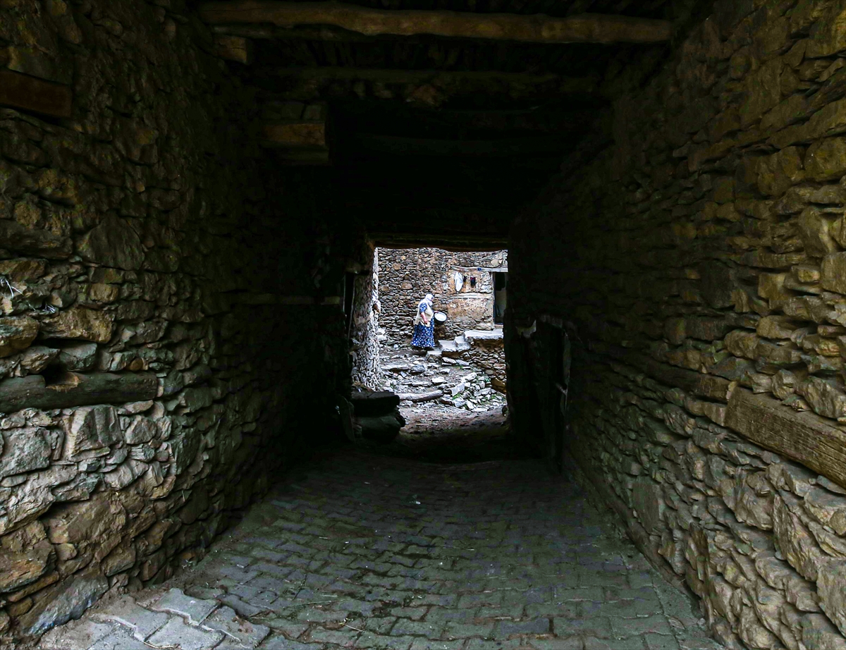 Bitlis'in kendine hayran bırakan taş evleri