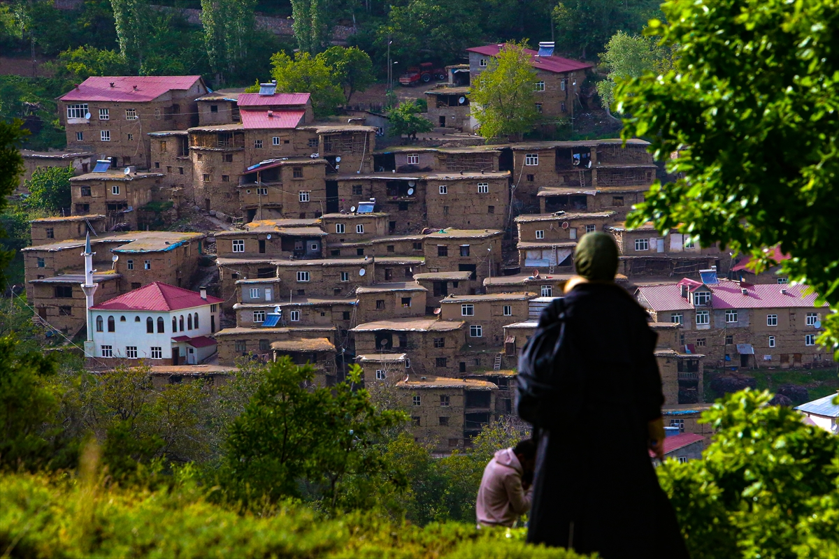 Bitlis'in kendine hayran bırakan taş evleri