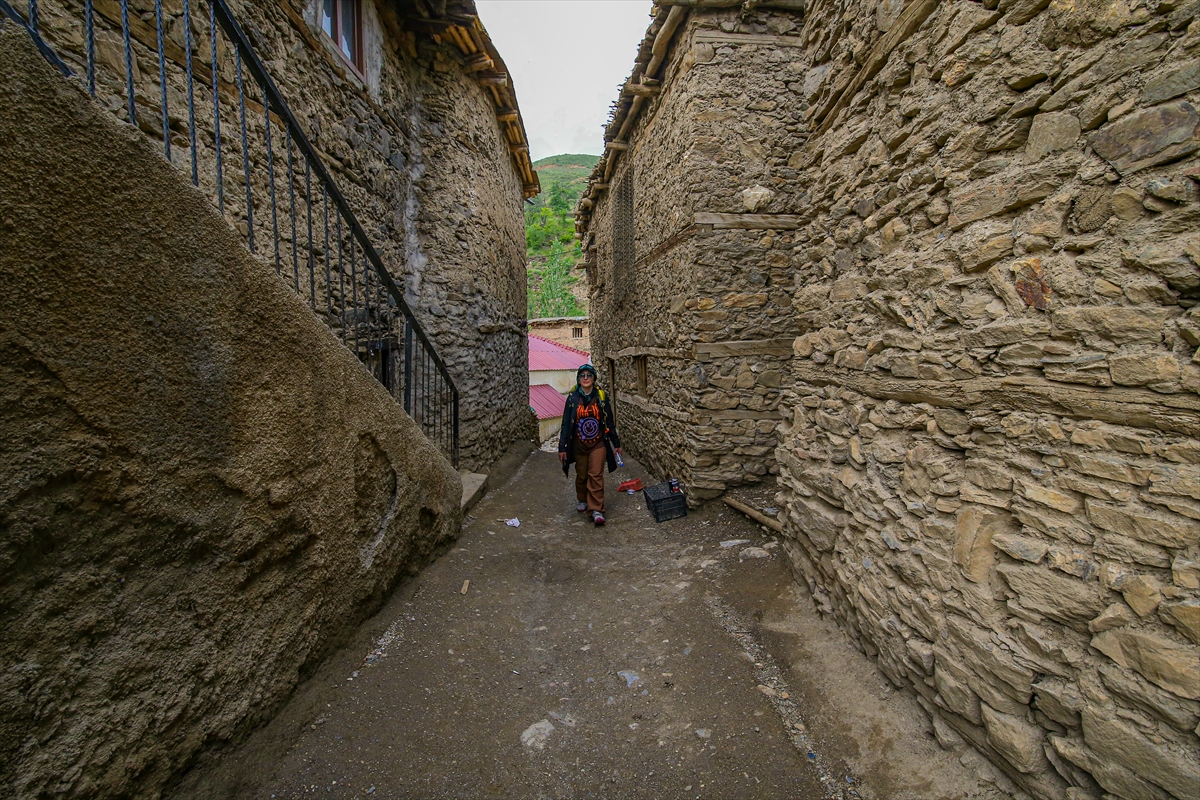 Bitlis'in kendine hayran bırakan taş evleri