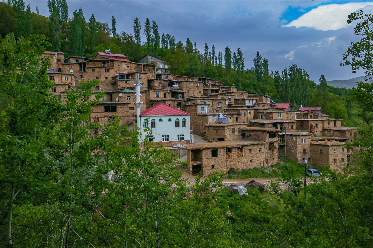 Bitlis'in kendine hayran bırakan taş evleri
