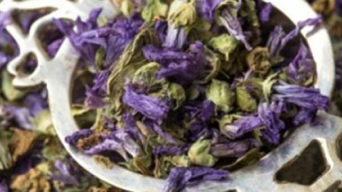 Hatmi çiçeği nedir