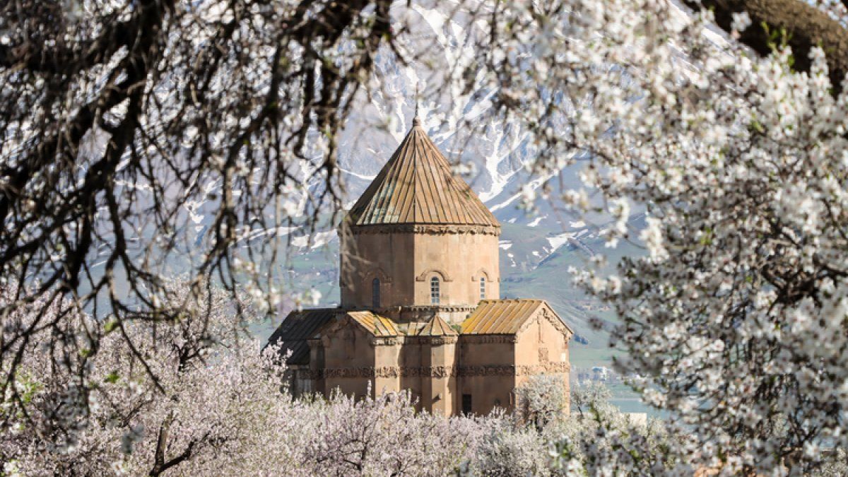 Akdamar Adası bahar çiçekleriyle renklendi
