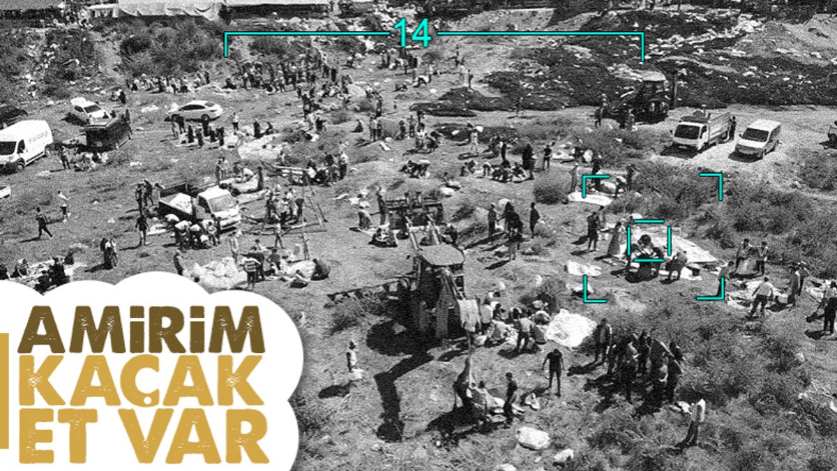 Kural tanımadılar! İstanbul'da yol kenarları kurban kesim yerine döndü