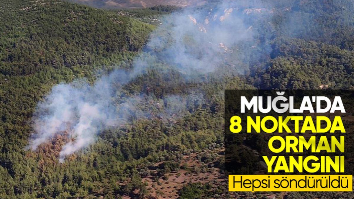 Muğla'da 8 noktada orman yangını