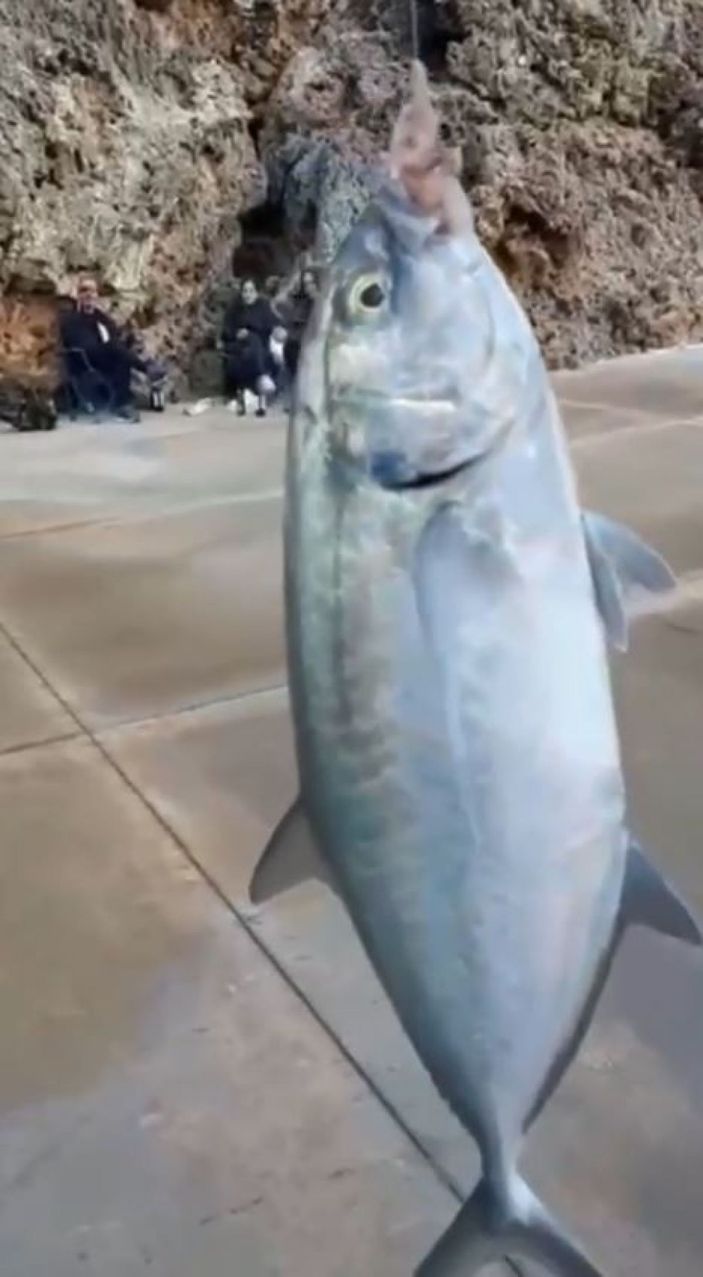 Antalya’da genç kızın Tral balığı sevinci