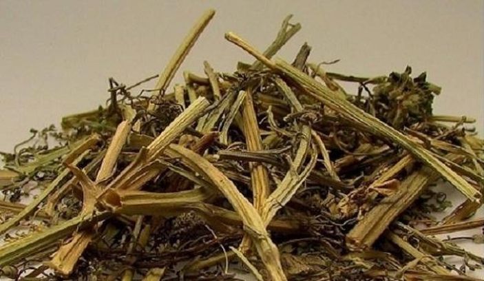 Şahtere otu nedir, faydaları nelerdir? Şahtere otu nasıl kullanılır?