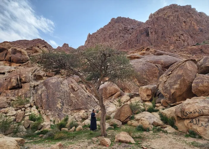 Mekke ve Medine'de yağış sonrası doğa yeşillendi