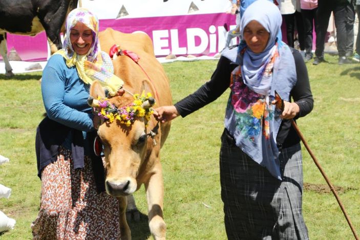 Rize'de yarışmayı kazanan inek yem ve saman, sahibi ise para ödülü aldı